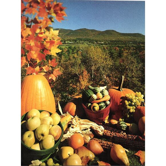 None and/or Unknown | Other | Autumn Fruits And Vegetables Harvest 97s ...